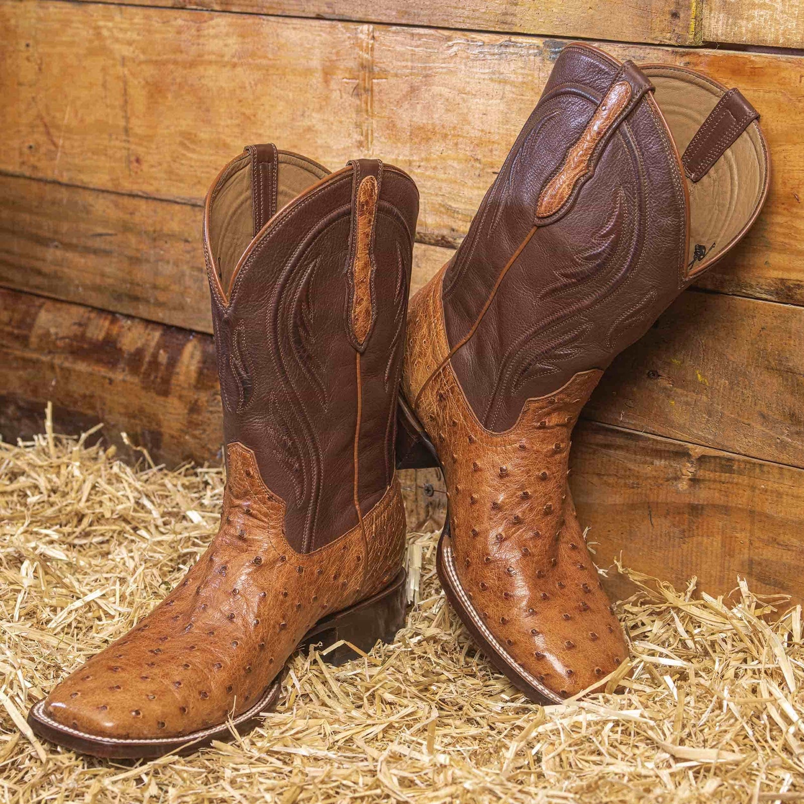 The Case | Men's Full-Quill Ostrich Square Toe Boots | RUJO – Rujo Boots